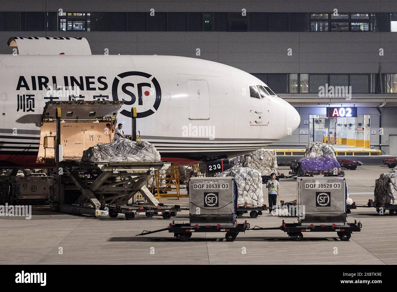 Staff members of SF airlines load the cargo onto a SF cargo aircraft at ...