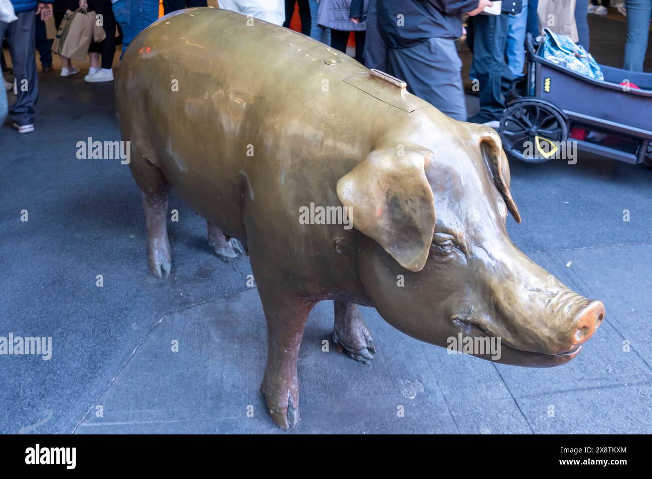 Rachel the piggy bank hi-res stock photography and images - Alamy