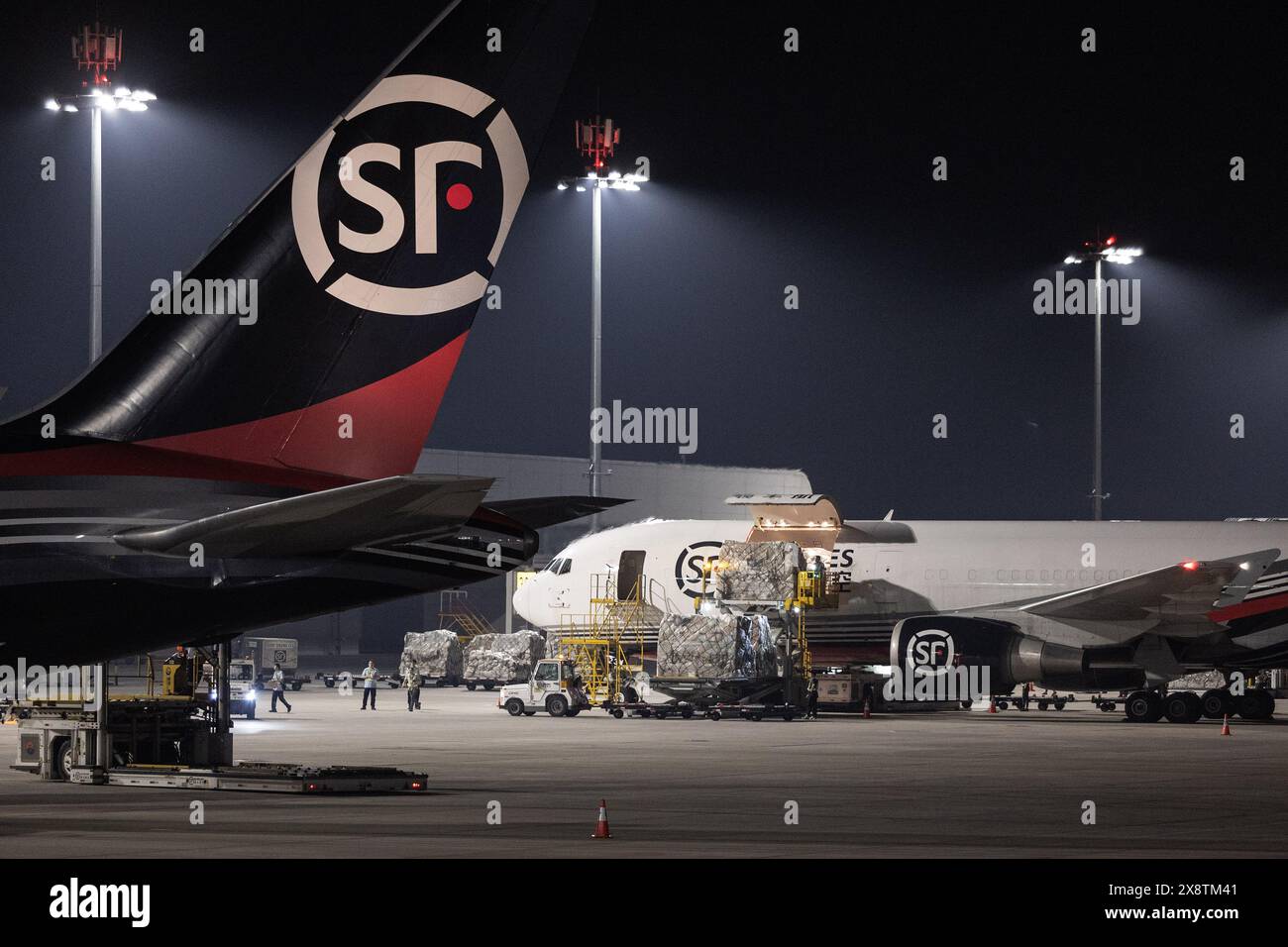 Staff members of SF airlines load the cargo onto a SF cargo aircraft at ...
