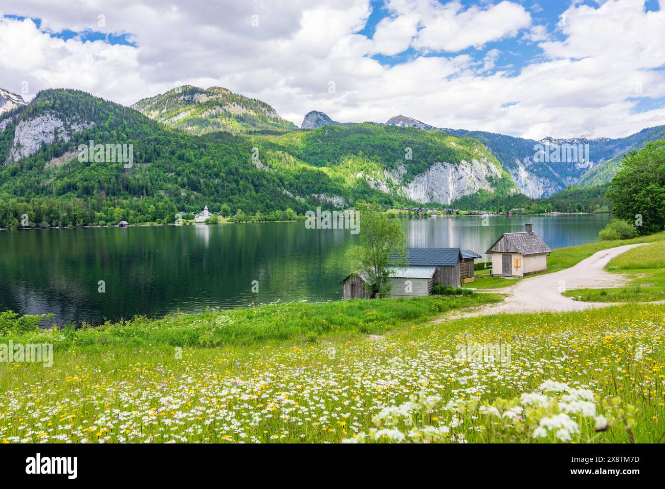 Lake Grundlsee, meadow with flowers, Villa Roth Schloss Grundlsee ...