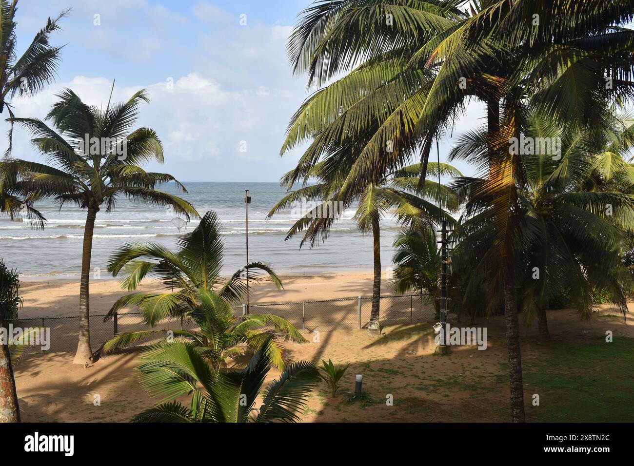 Mirissa is a low-key beachside town in the South of Sri Lanka, much ...