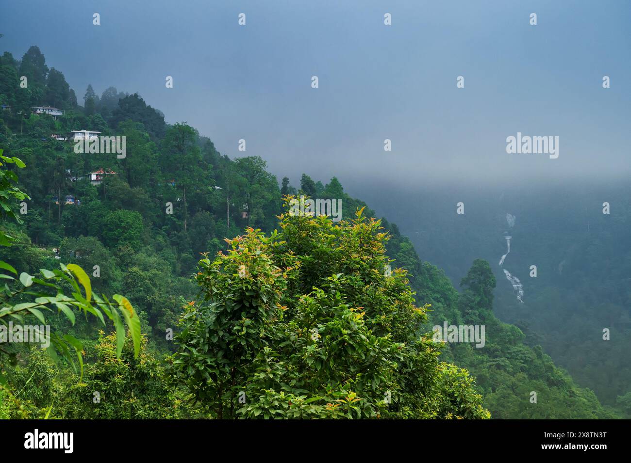 Himalayan mountains and lush green forest. Scenic natural beauty of ...