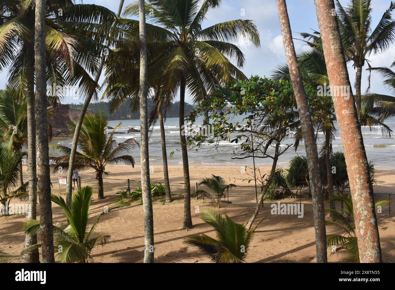 Mirissa is a low-key beachside town in the South of Sri Lanka, much ...