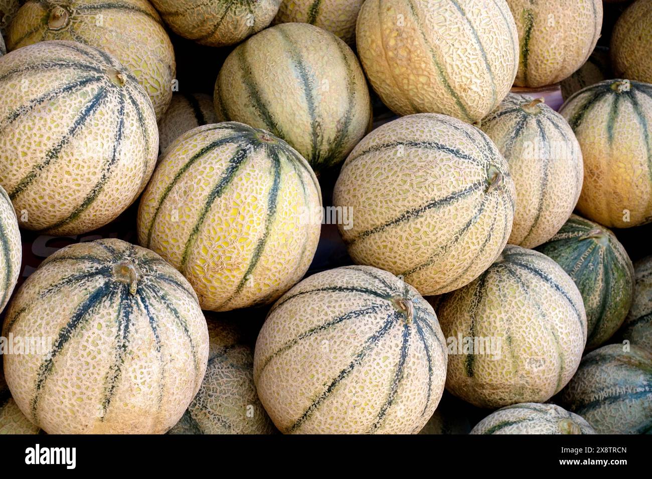 Cavaillon melons for sale at a farmers market in the Vaucluse, Provence ...