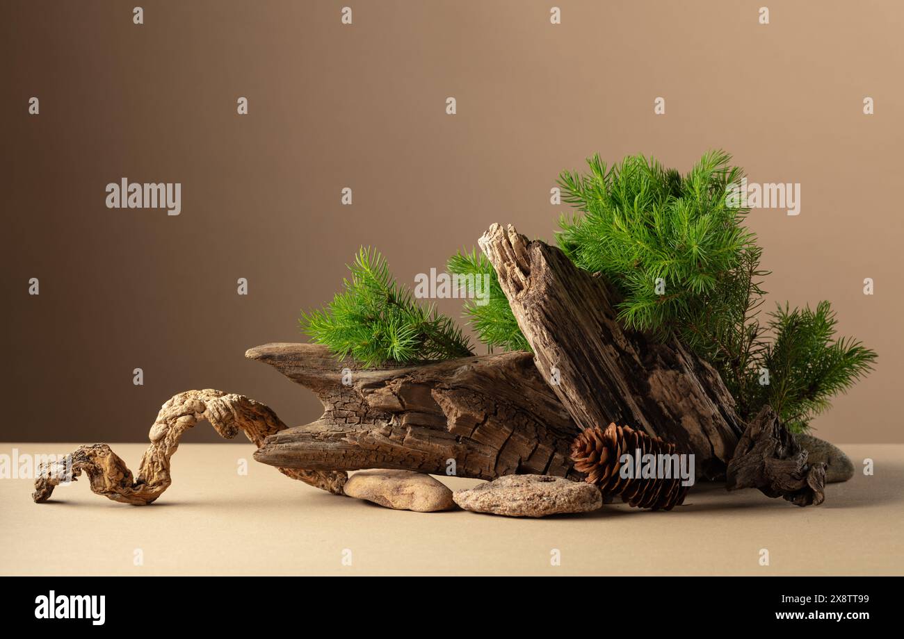 Abstract nature scene with a composition of spruce branches, stones ...