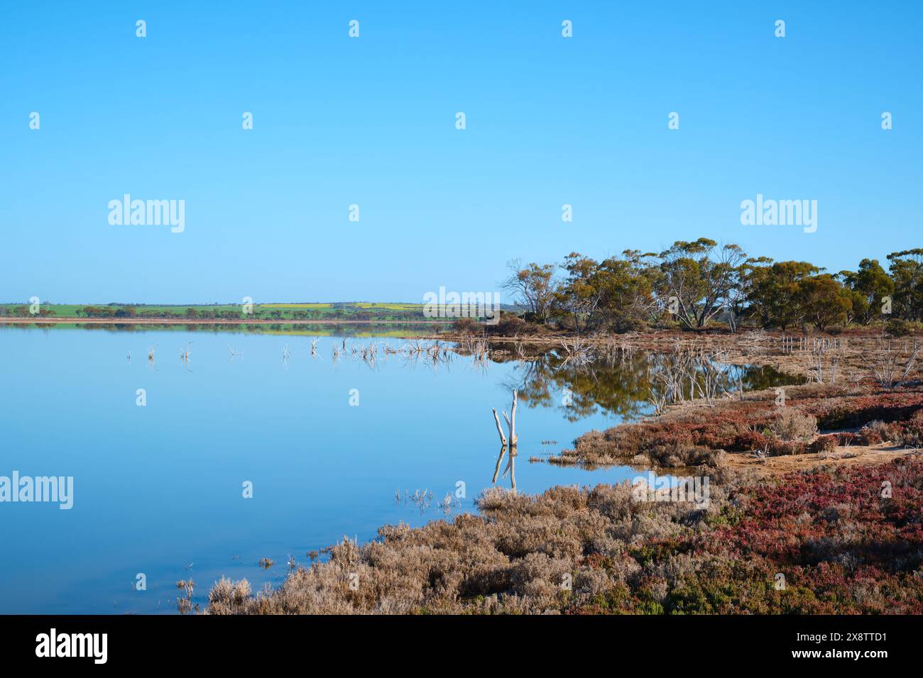 Wetlands in western australia hi-res stock photography and images - Alamy