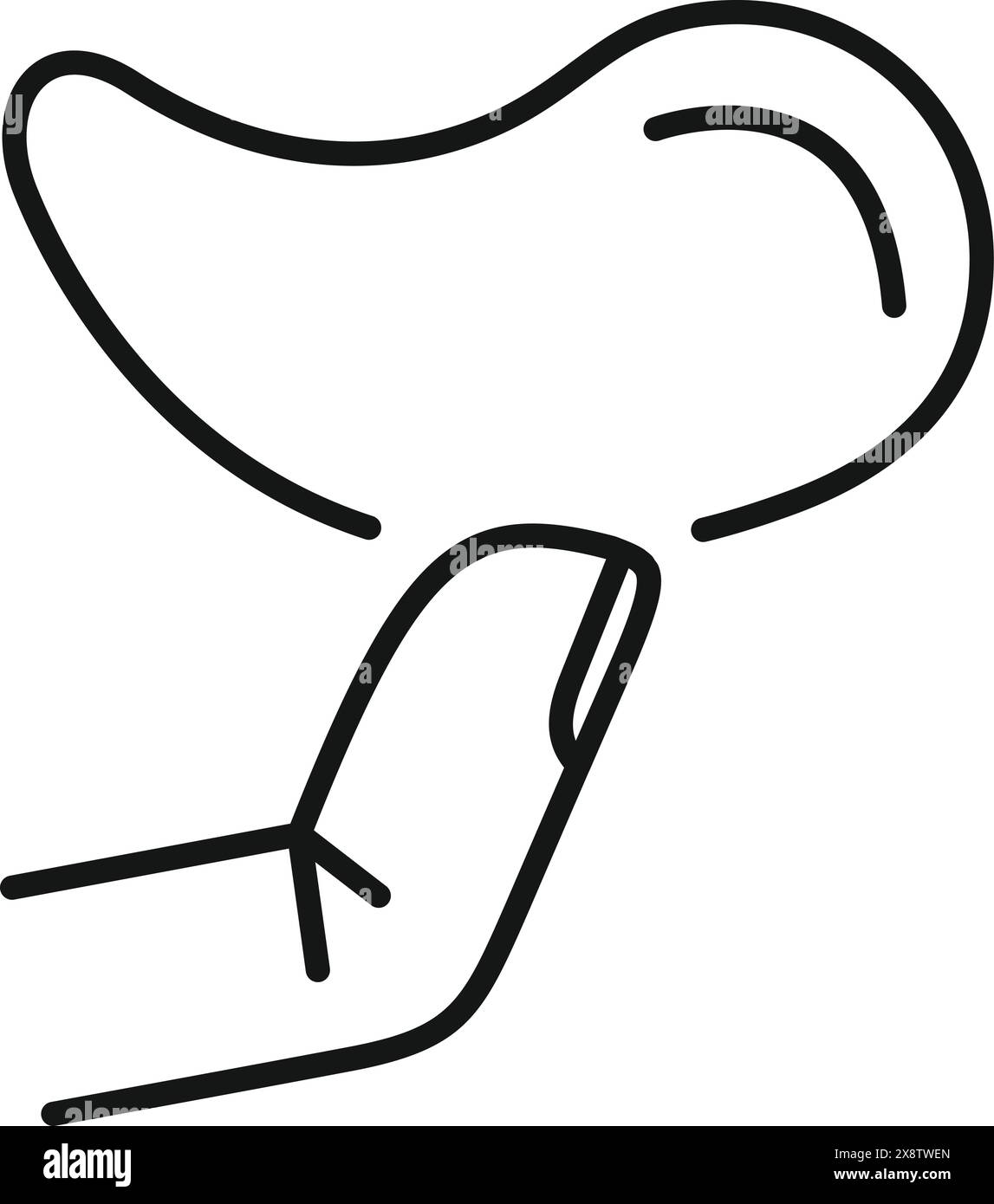 Simple and modern line drawing of a human liver, suitable for medical ...