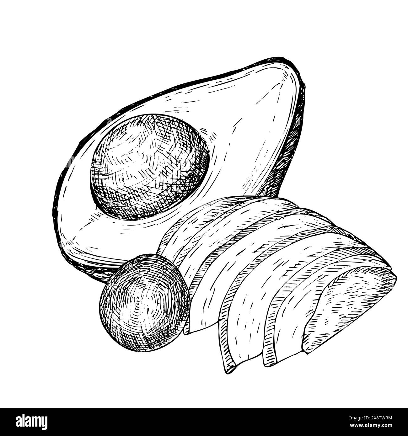 Avocado hass graphic vector illustration, hand drawn sketch of ...