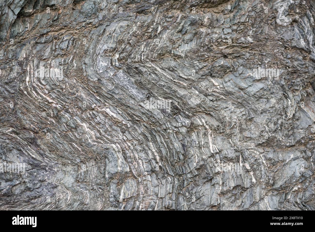 Metamorphic rock detail hi-res stock photography and images - Alamy