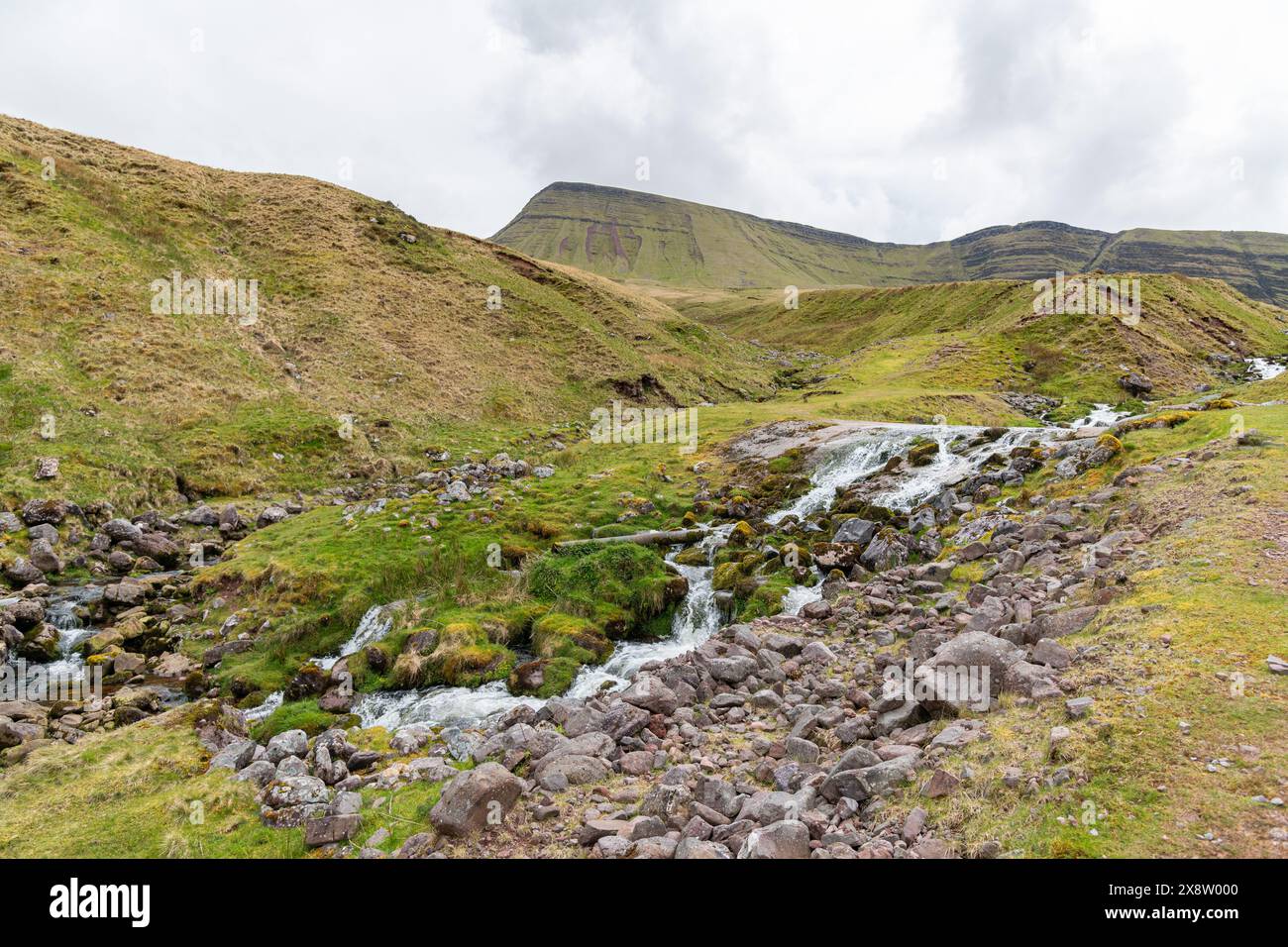View of a trail / path leading up to the peak summit of Picws Du ...