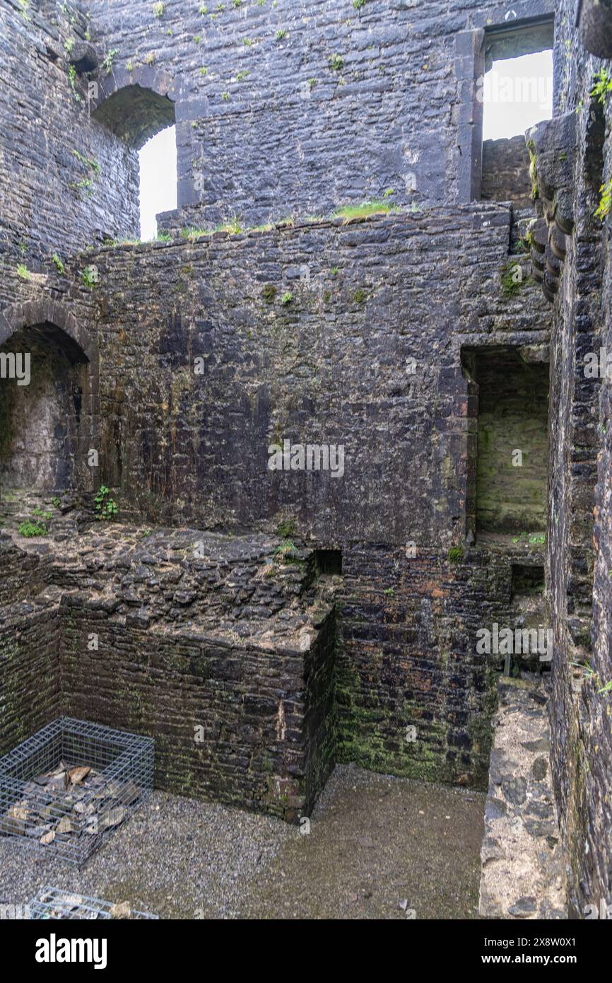 The old historic castle ruins of Castell Dinefwr in Dinefwr Park in the ...