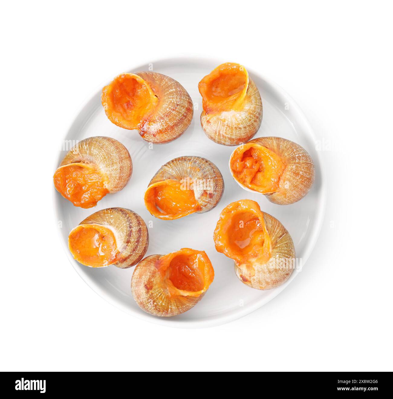 Delicious cooked snails isolated on white, top view Stock Photo - Alamy