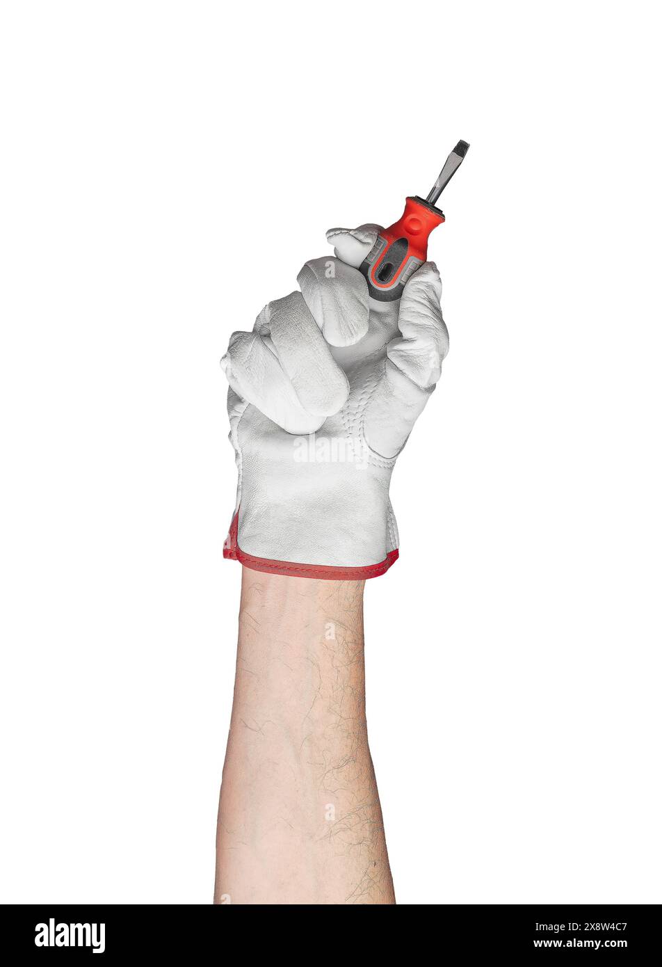 Isolated hand holding screwdriver. White background with woman s arm ...