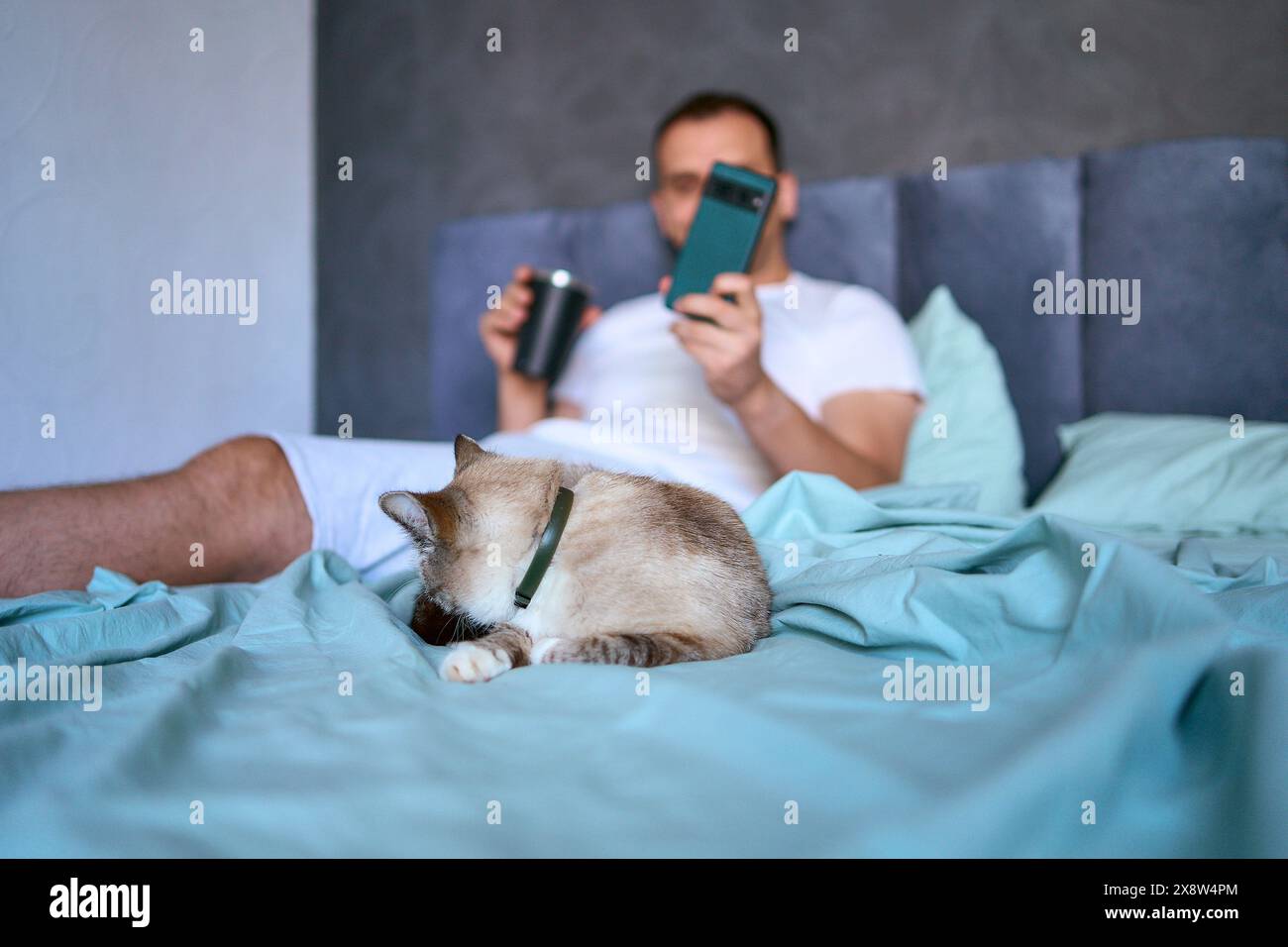 young man drinking morning coffee in bed and scrolling in smartphone ...