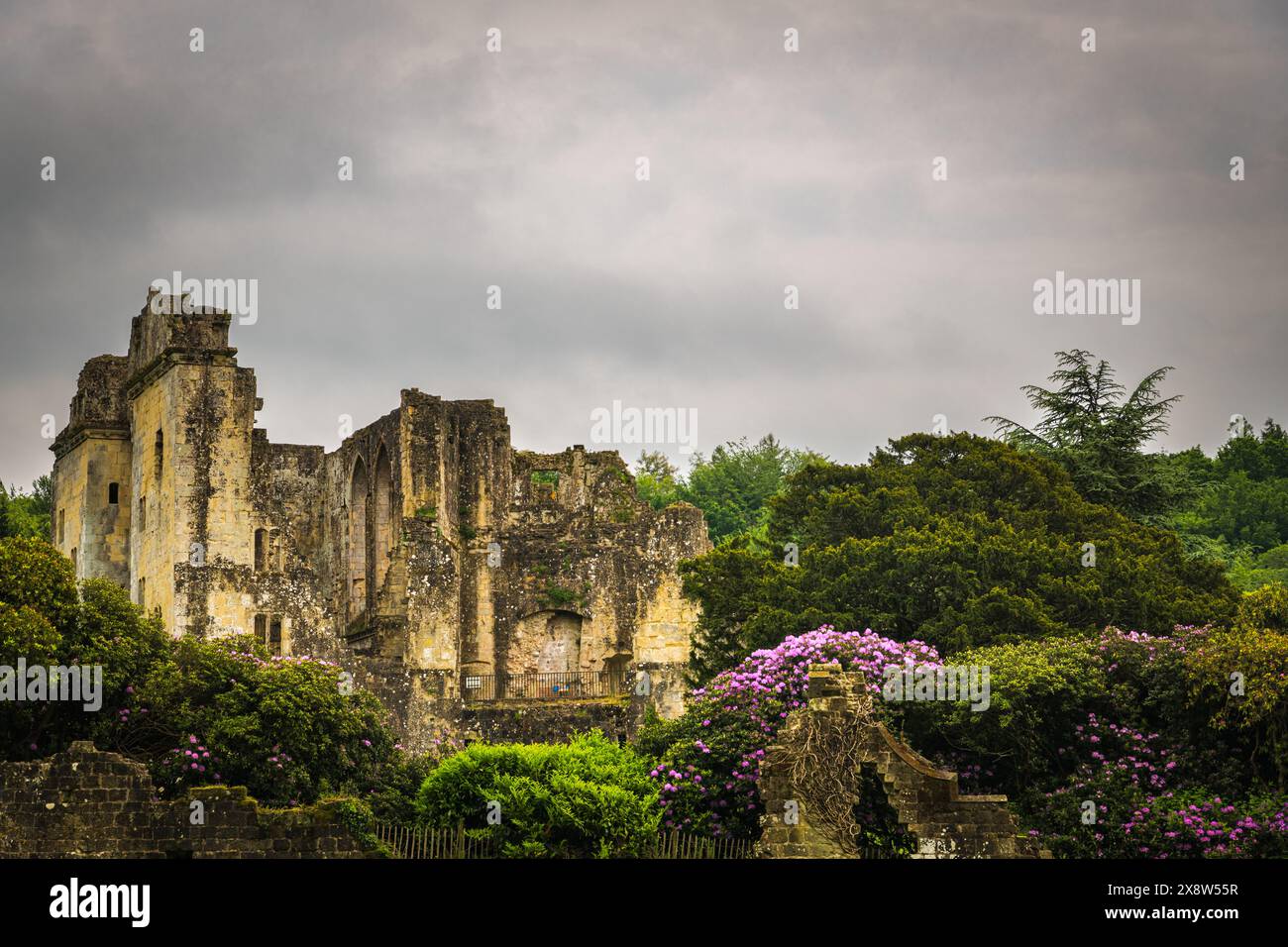 A summer HDR image of the ruins of Wardour Castle in Wiltshire, England ...