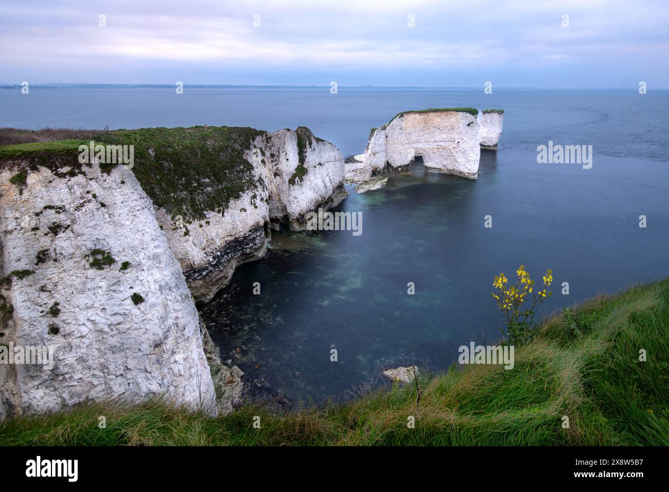 Old Harry Rocks, Purbeck, Dorset Stock Photo - Alamy