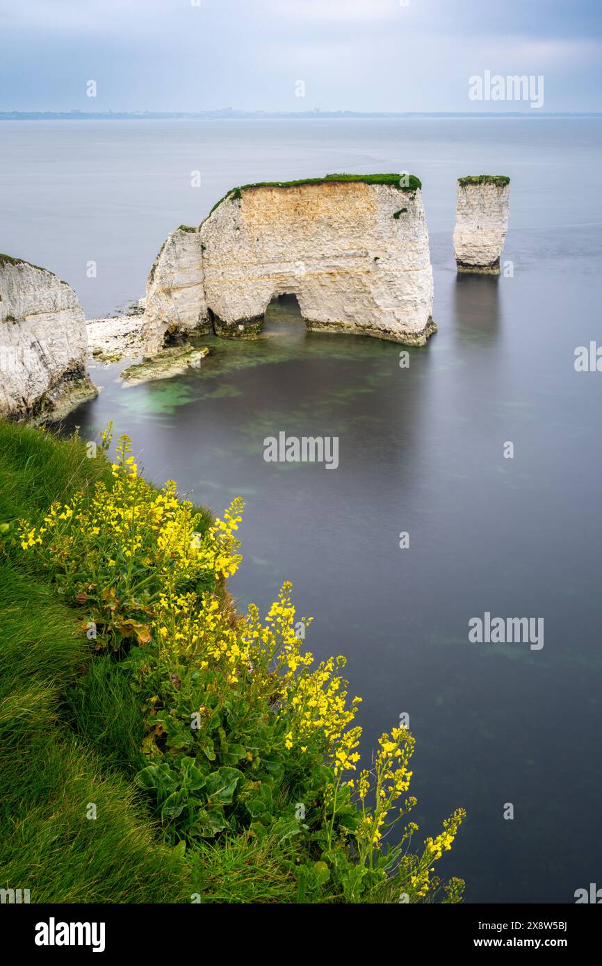 White purbeck stone hi-res stock photography and images - Alamy