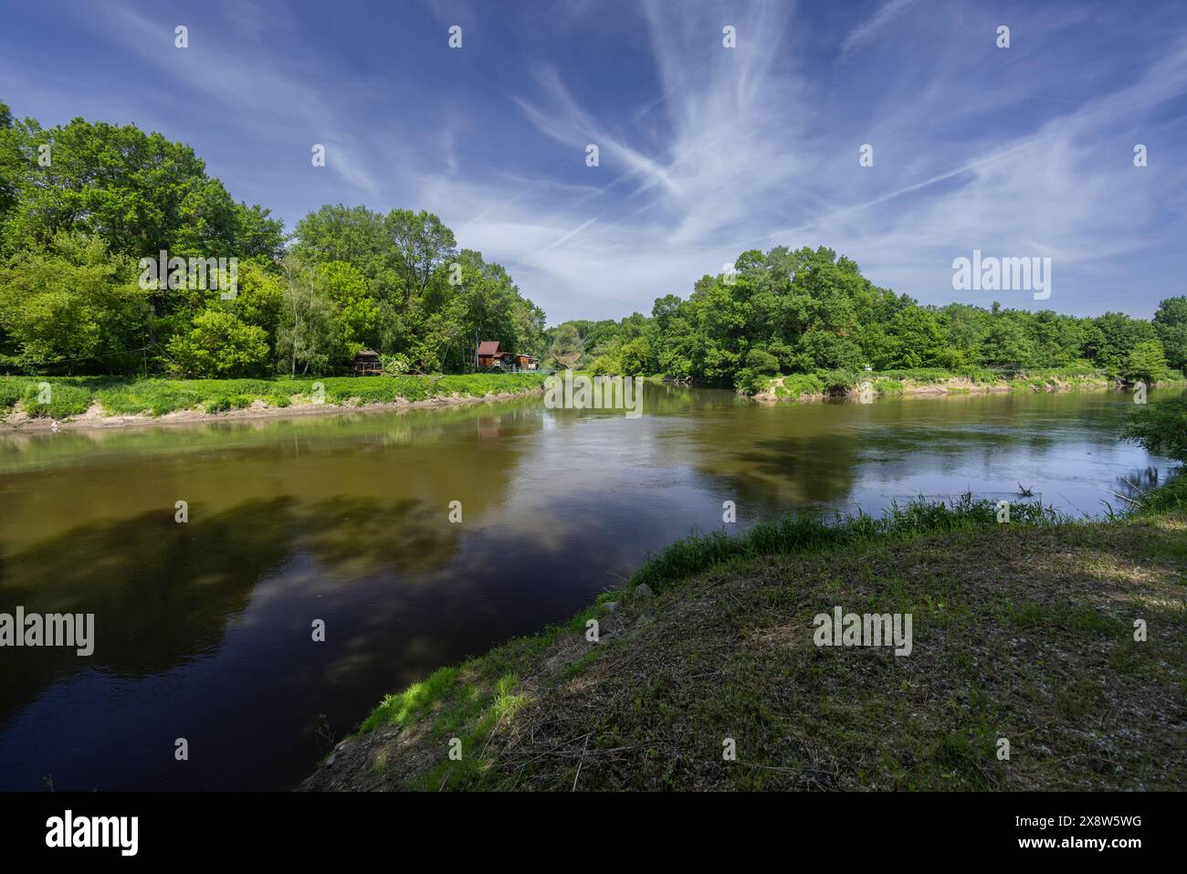 Confluence of Morava and Dyje rivers, Zahorie (CHKO Zahorie), triple ... Confluence of Morava and Dyje rivers, Zahorie (CHKO Zahorie), triple ...