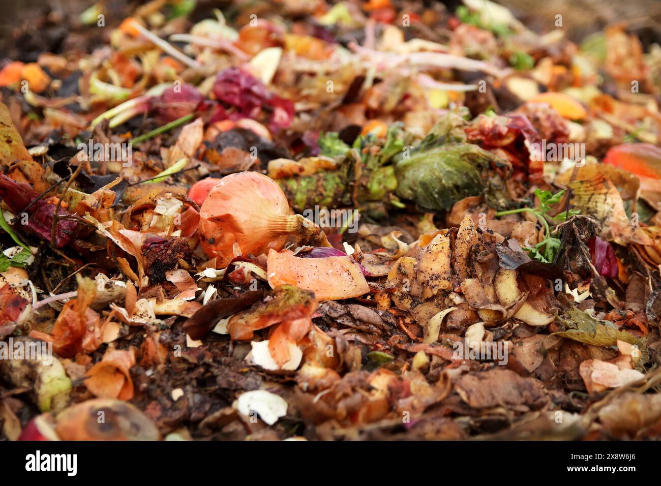Compost background close up. Compost above the composter with organic ...