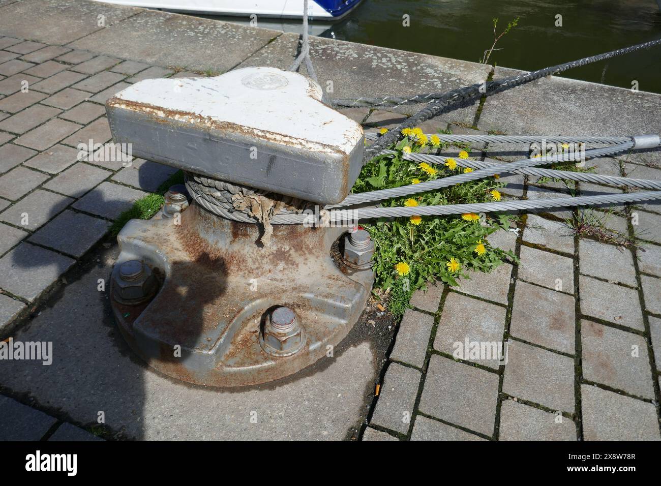Sturdy metal mooring bollard with lines attached in harbor Stock Photo ...