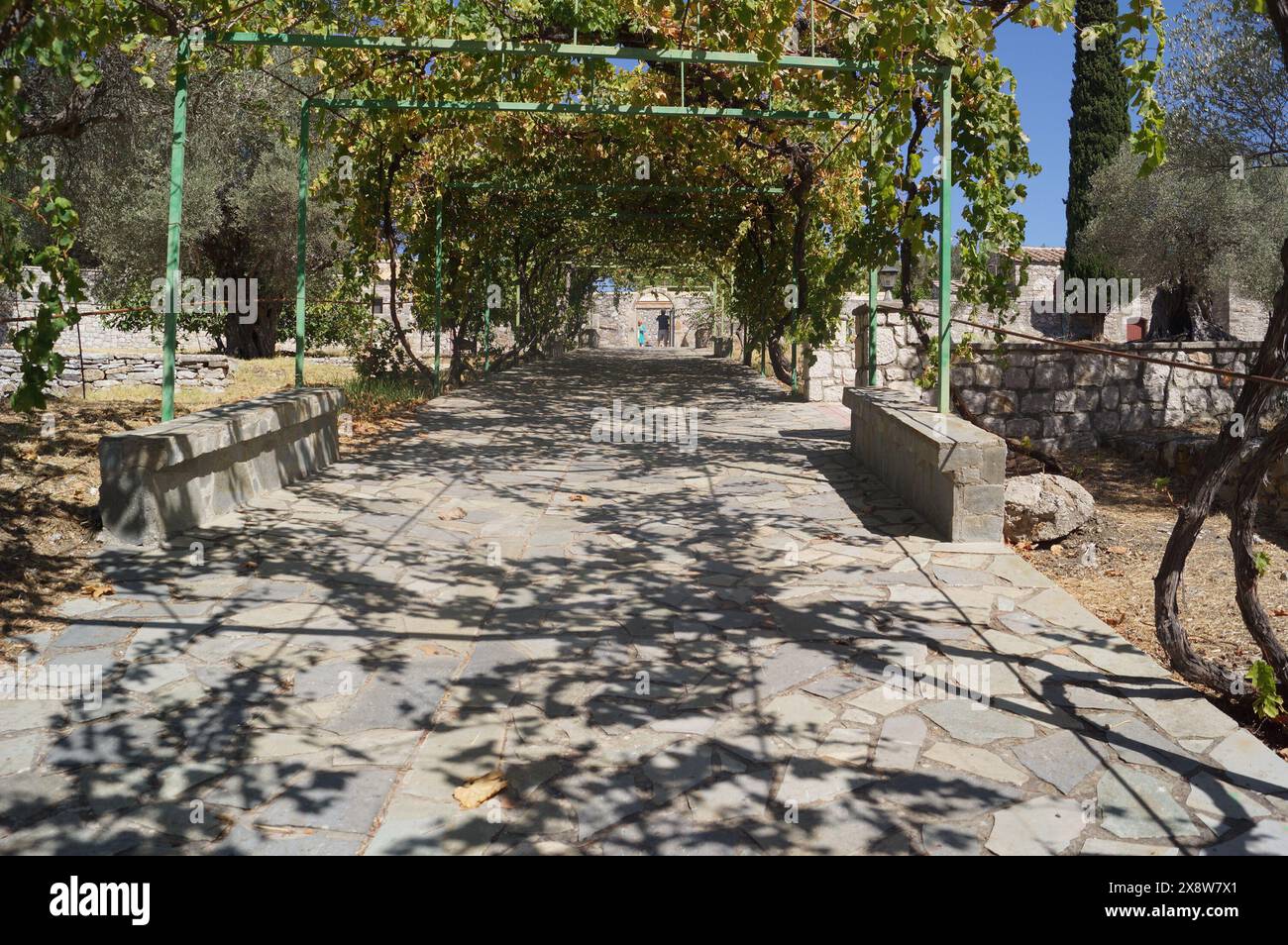 Pergola with vine at Moni Thari (Tharri Monastery) in Laerma, Rhodes ...