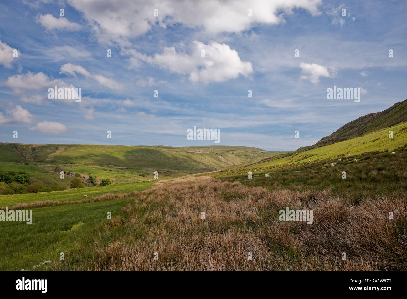 Brook in spring hi-res stock photography and images - Alamy