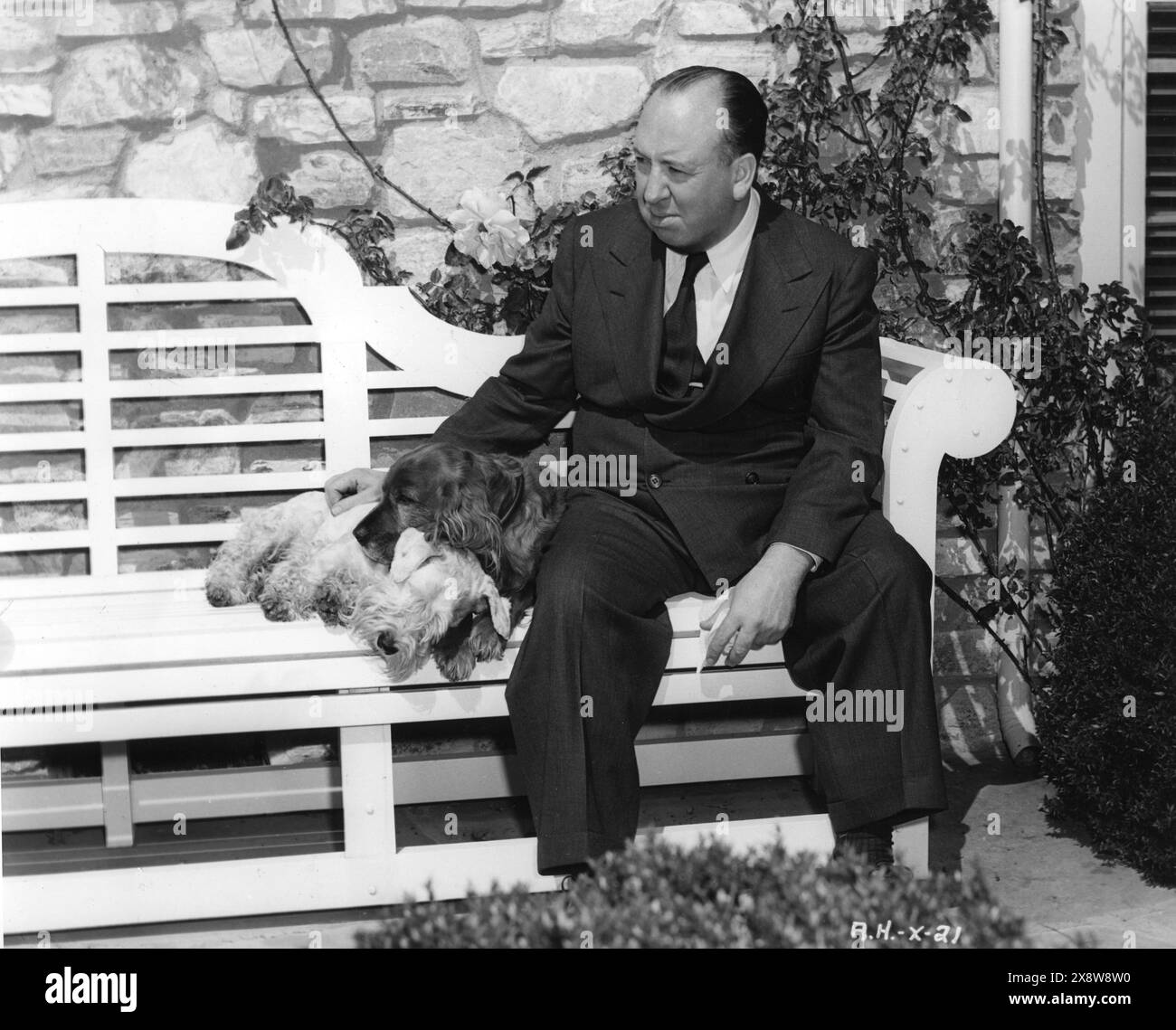 Film Director ALFRED HITCHCOCK photographed ini the garden of his ...