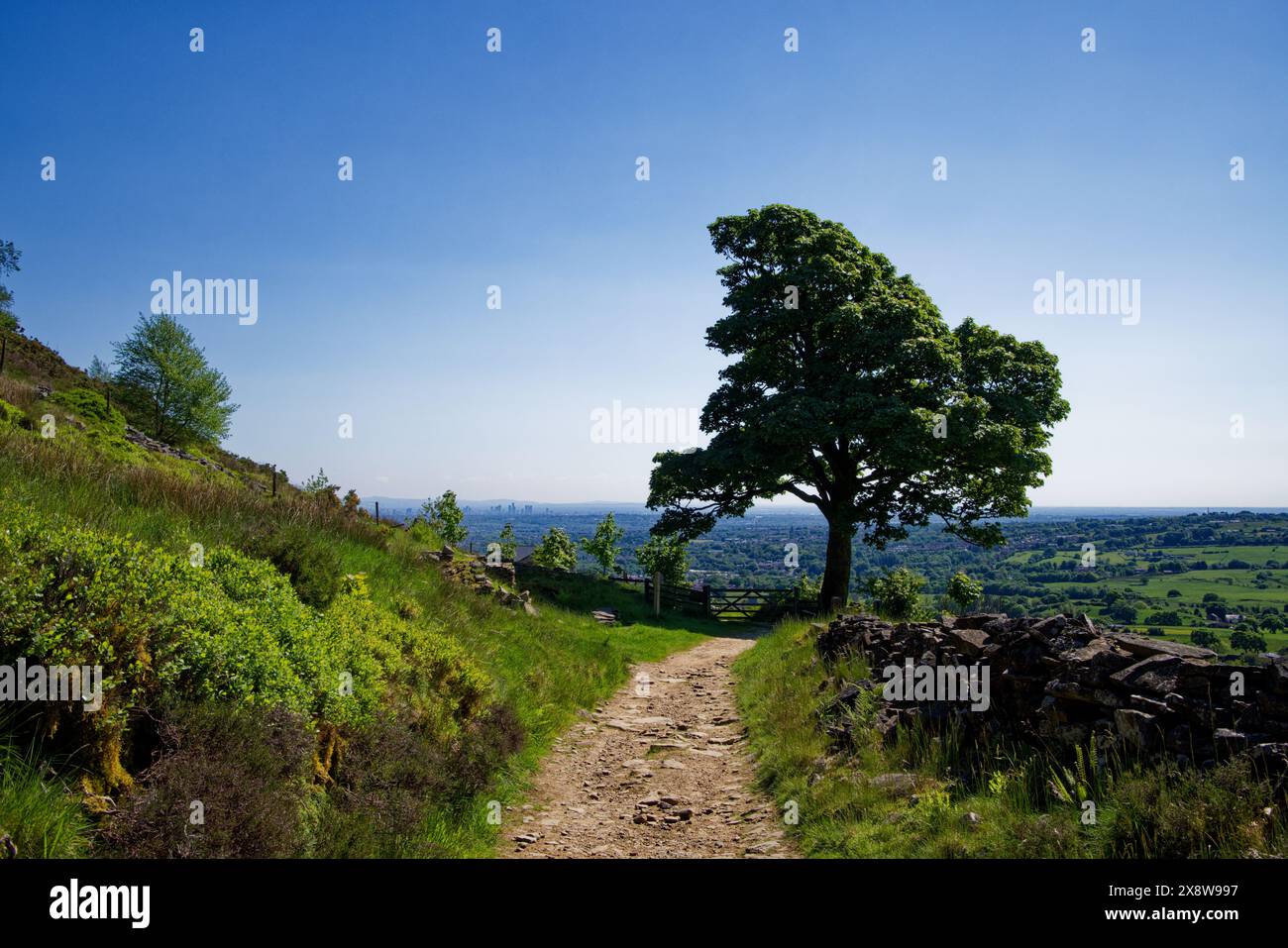 Sycamore hills hi-res stock photography and images - Alamy