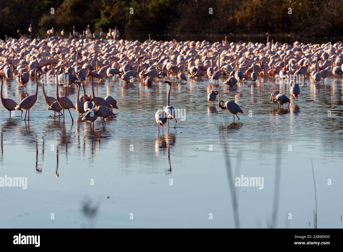 Ai enhanced photography hi-res stock photography and images - Alamy