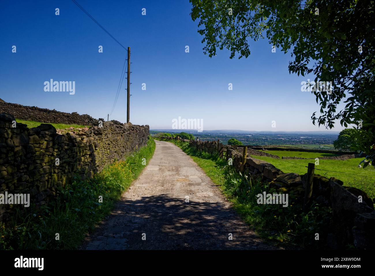 Empty rural lane hi-res stock photography and images - Alamy
