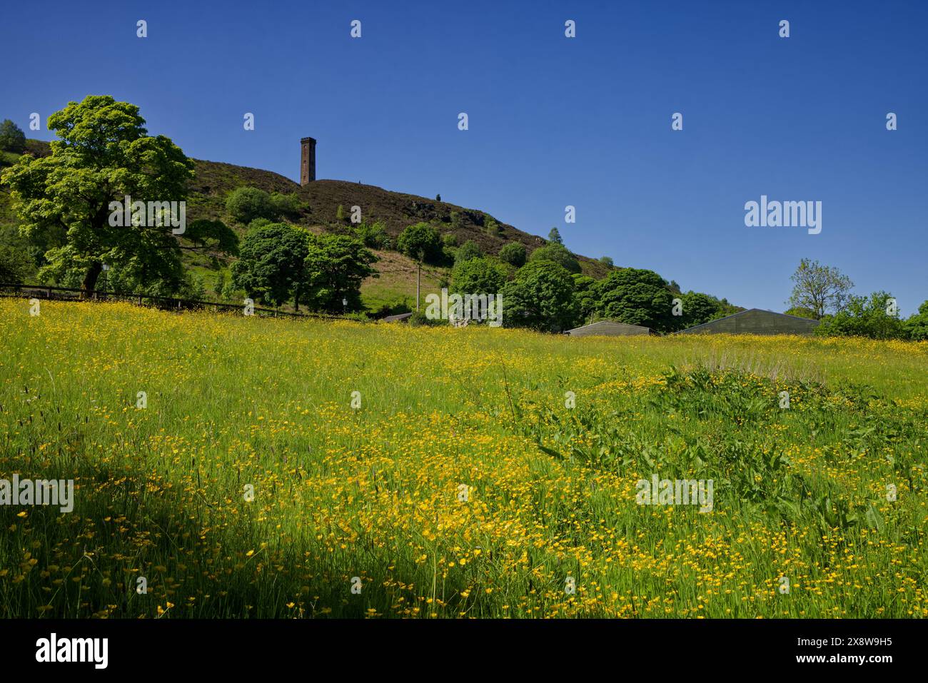 Holcombe tower hi-res stock photography and images - Alamy