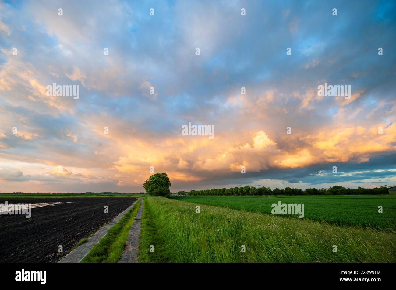 Beautiful, colorful evening sky at the back of a rainstorm over the ...