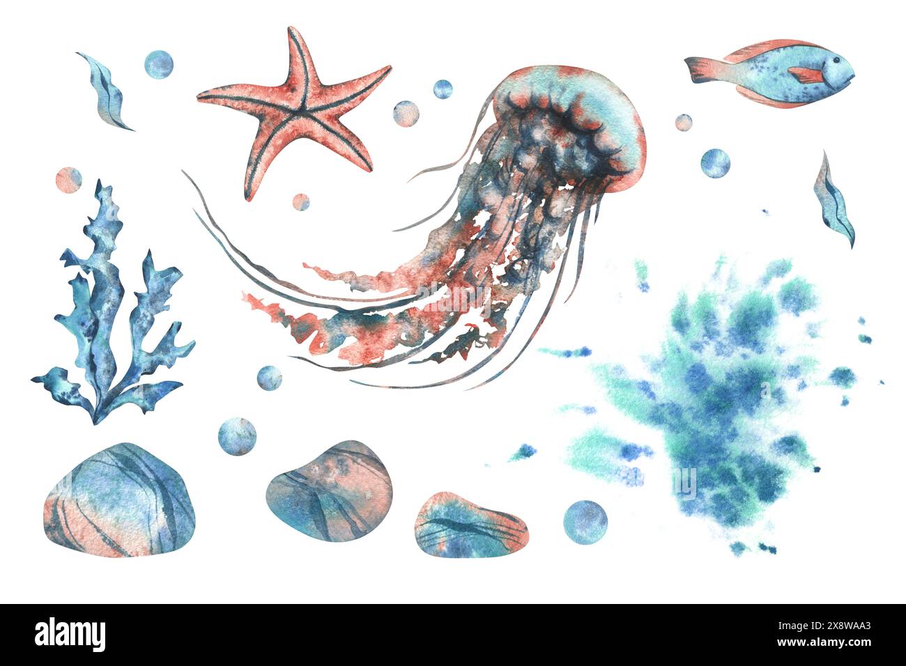 Jellyfish, shells, starfish, fish, bubbles, pebbles and other sea ...