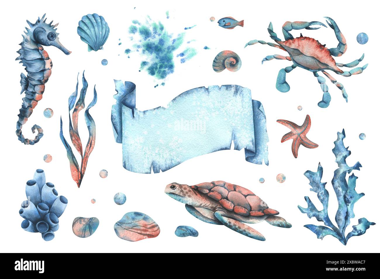 Seahorse, crab, turtle, shells, starfish, fish, bubbles, pebbles, other ...