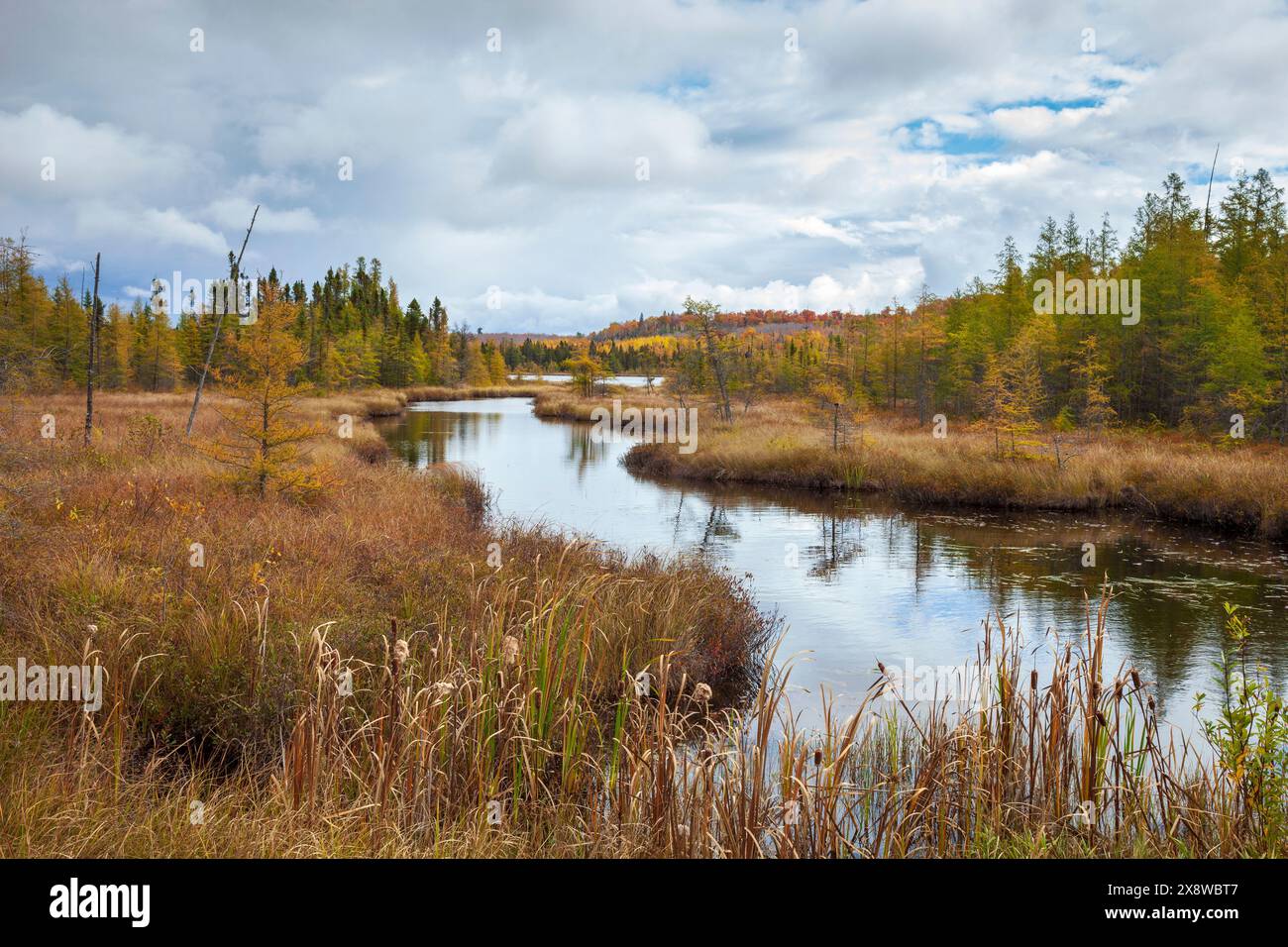 Creek in northern Minnesota by trees and hills in autumn color in ...
