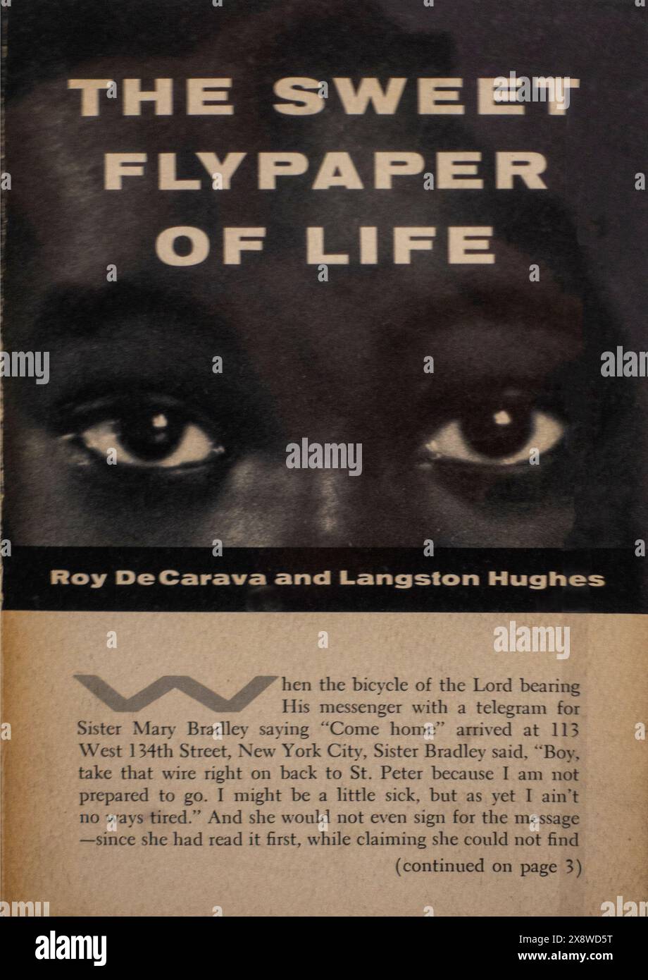 the Sweet Flypaper of Life by Langston Hughes and Roy Decarava book ...