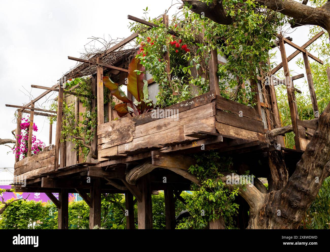 Pretty wooden tree house on display at the 2024 RHS Chelsea flower show ...