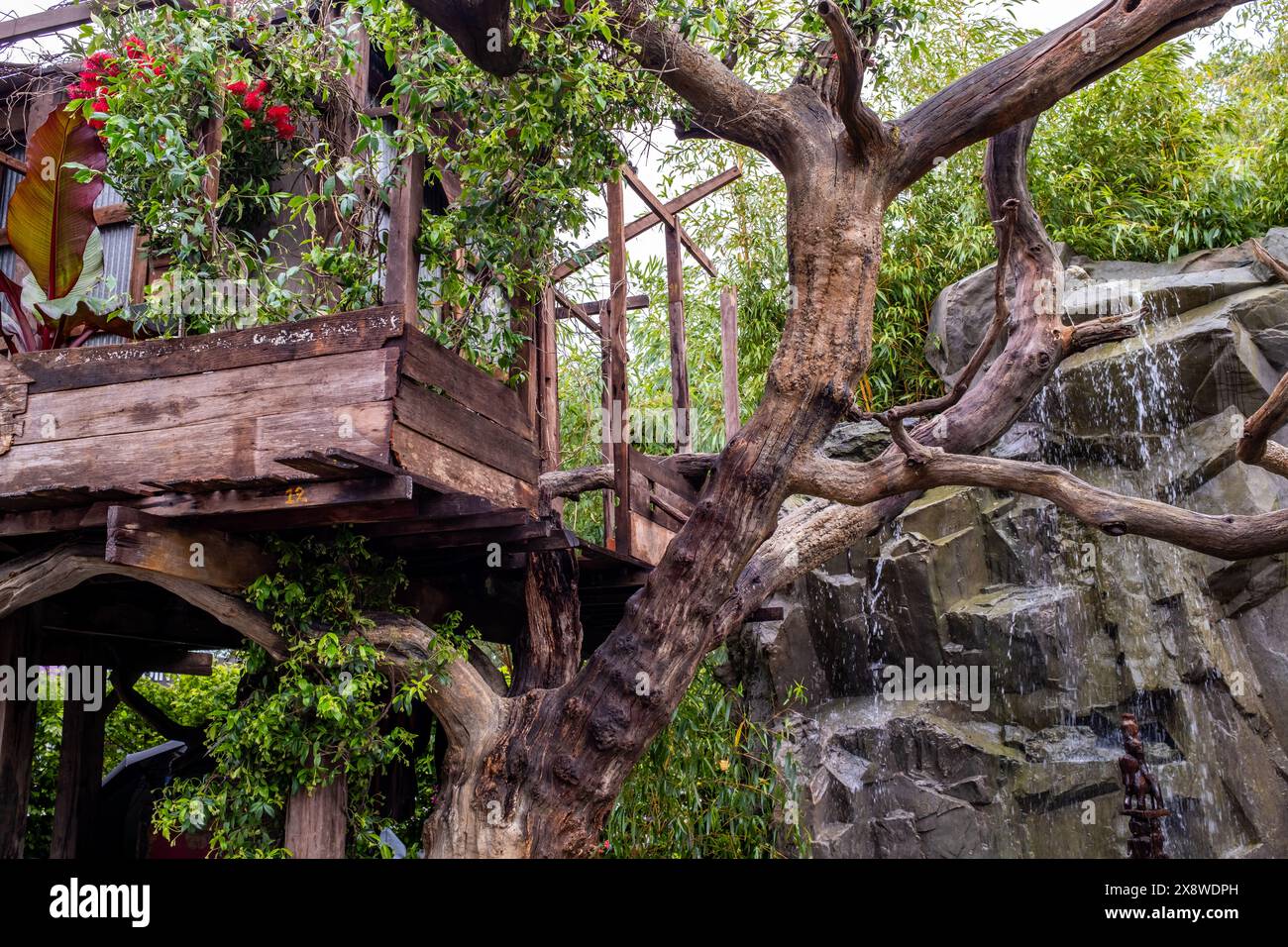 Wooden tree house and water feature on display at the 2024 RHS Chelsea ...