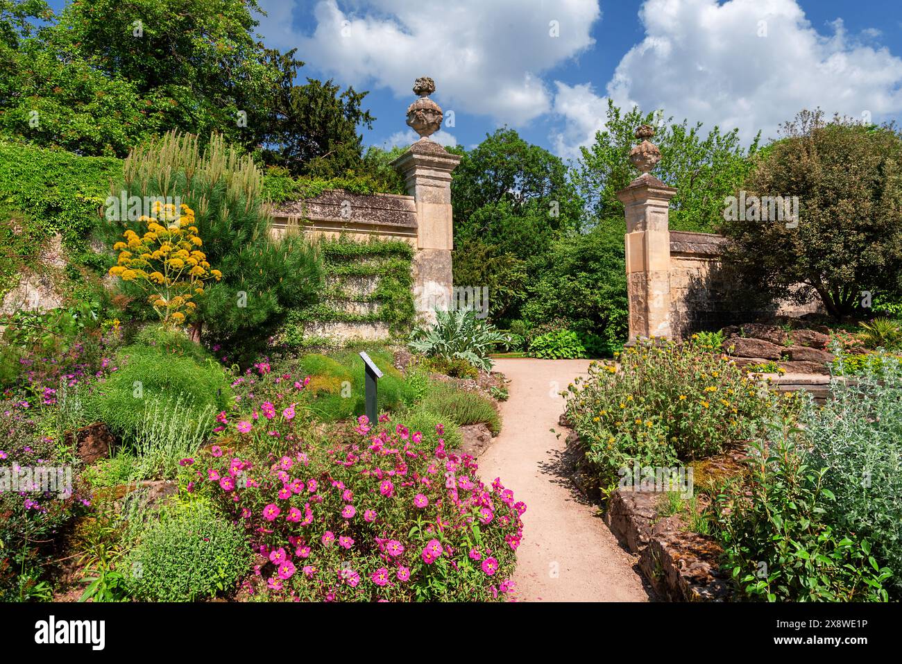 View of the Oxford Botanic Garden, plants, flowers and the historical ...