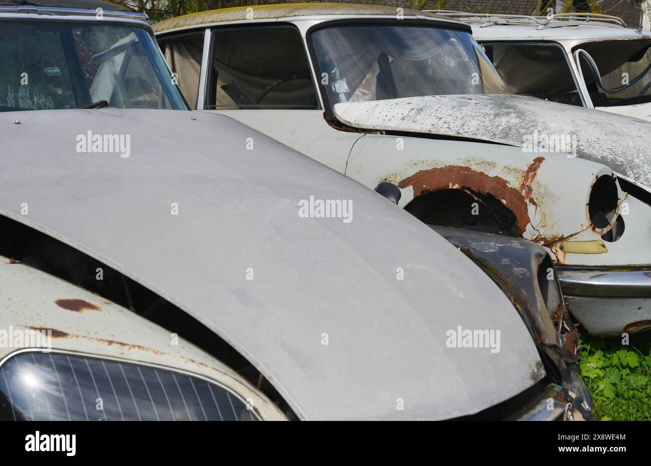 Classic french cautomobiles on a car cemetery outdoor Stock Photo - Alamy