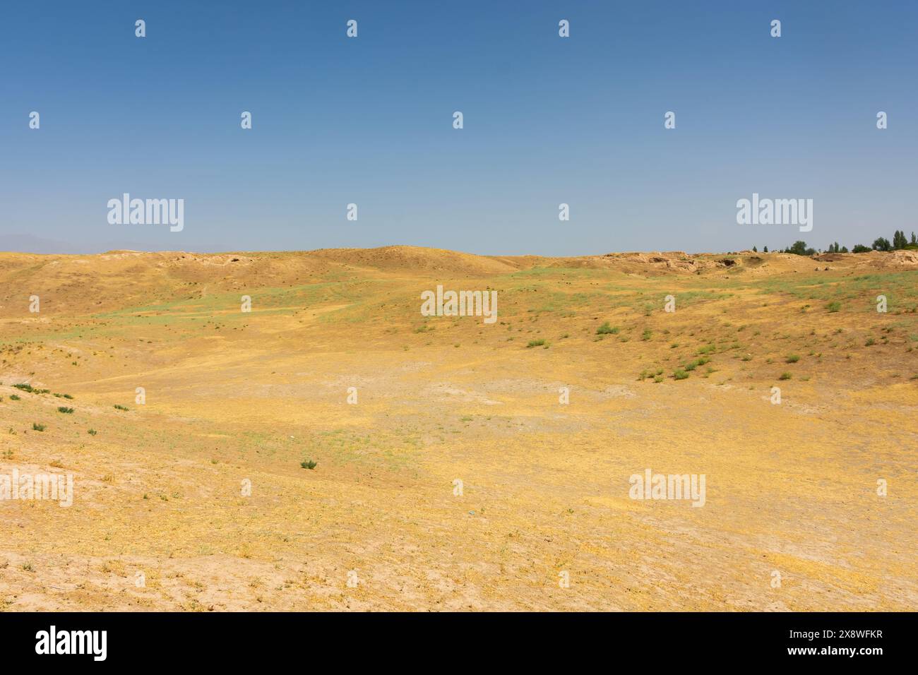 Panjakent ruins hi-res stock photography and images - Alamy