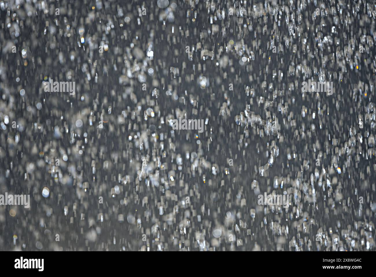 Water is the most common molecule in all living things on Earth Stock ...