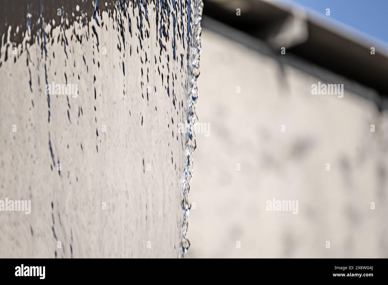 Water plays an important biological role and all known life forms ...