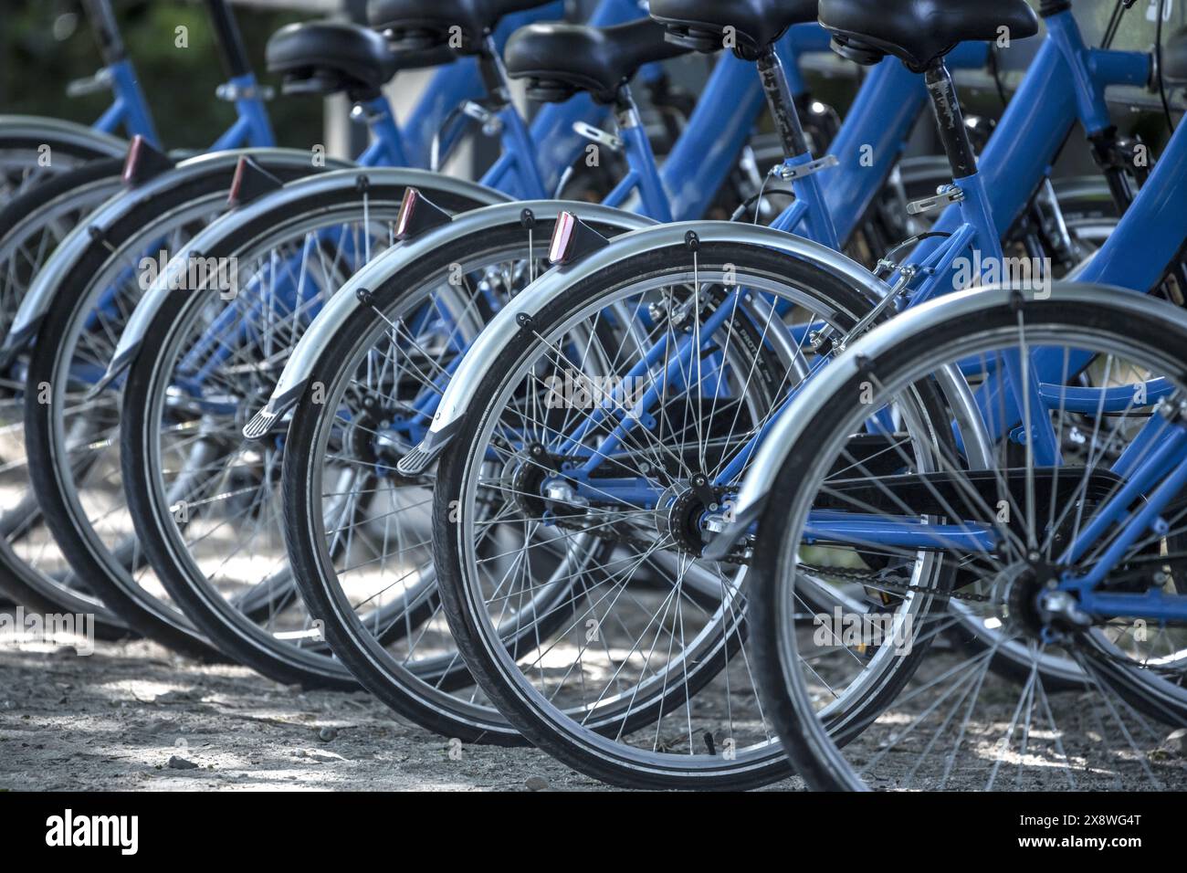 Bicycle It is a healthy, ecological, sustainable and economical means ...