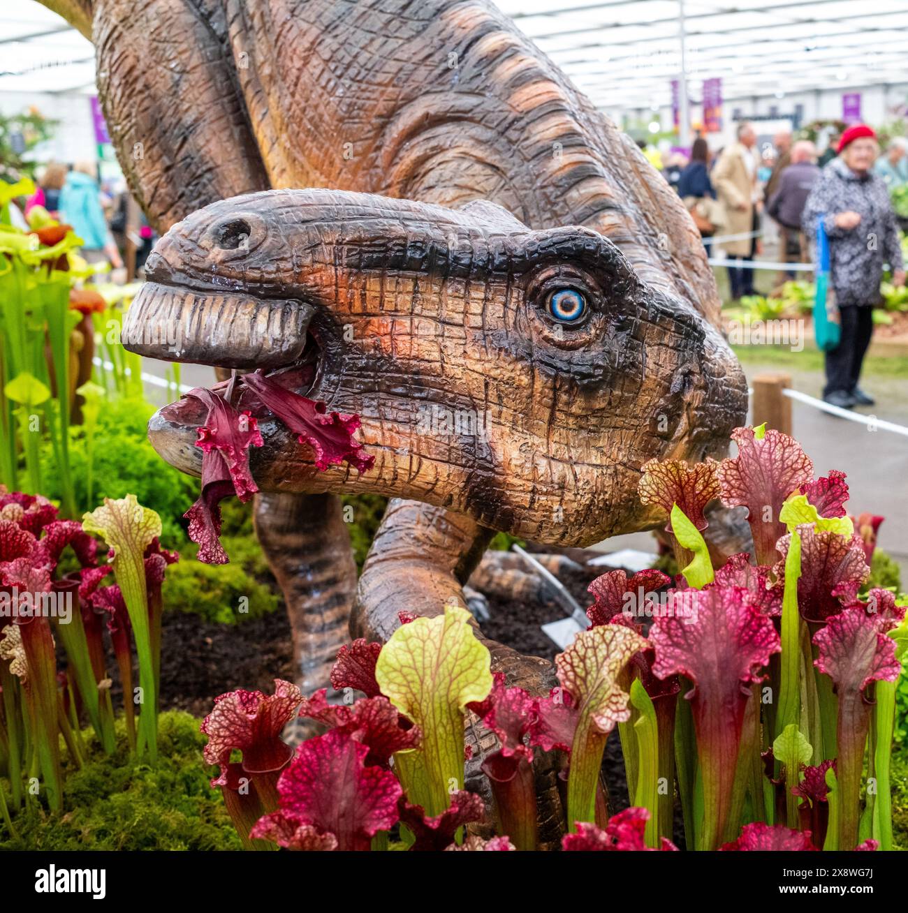 Dinosaur and flower display at the 2024 RHS Chelsea show Stock Photo ...