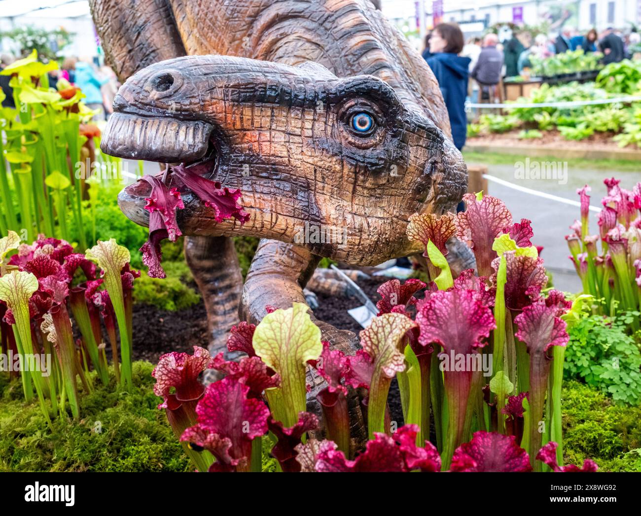 Dinosaur and flower display at the 2024 RHS Chelsea show Stock Photo ...