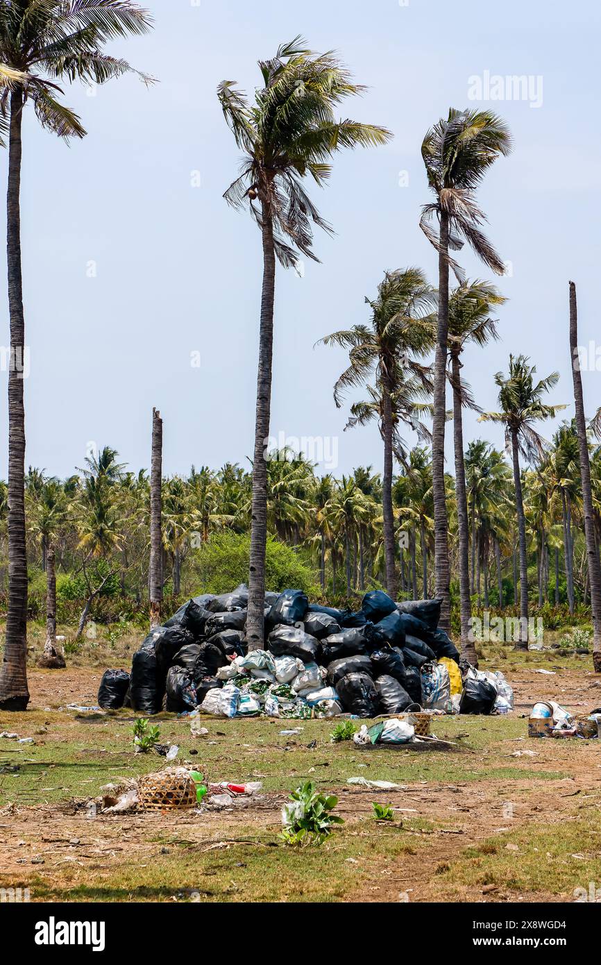 Recycle management hi-res stock photography and images - Alamy