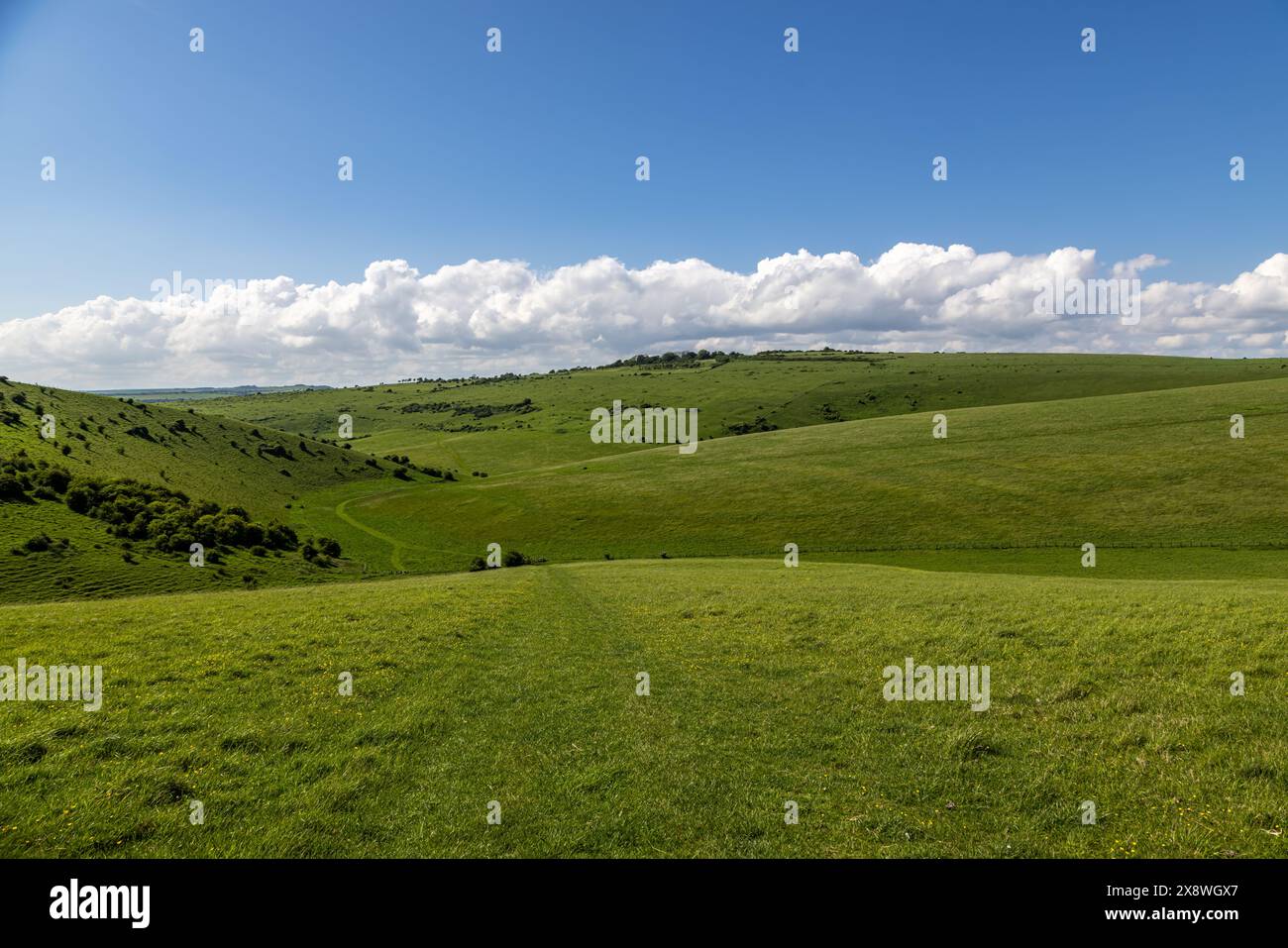 A roling landscape in the South Downs, at Mount Caburn near Lewes Stock ...