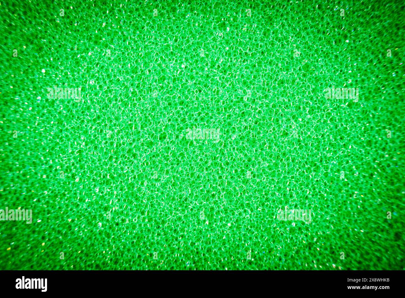 Vibrant Colored Sponge Macro Close Up Stock Photo - Alamy