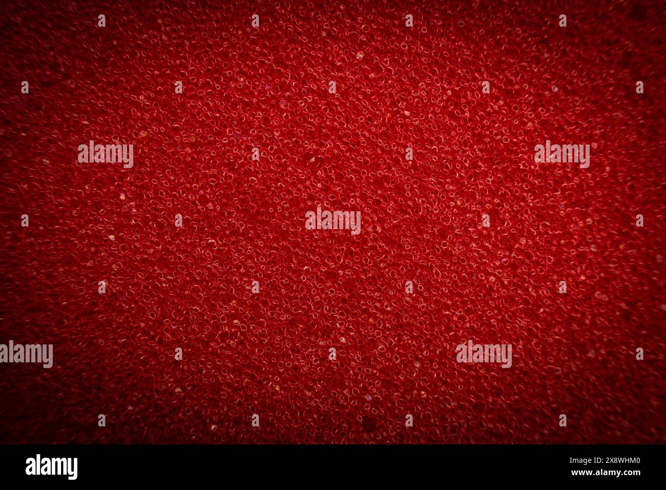 Vibrant Colored Sponge Macro Close Up Stock Photo - Alamy